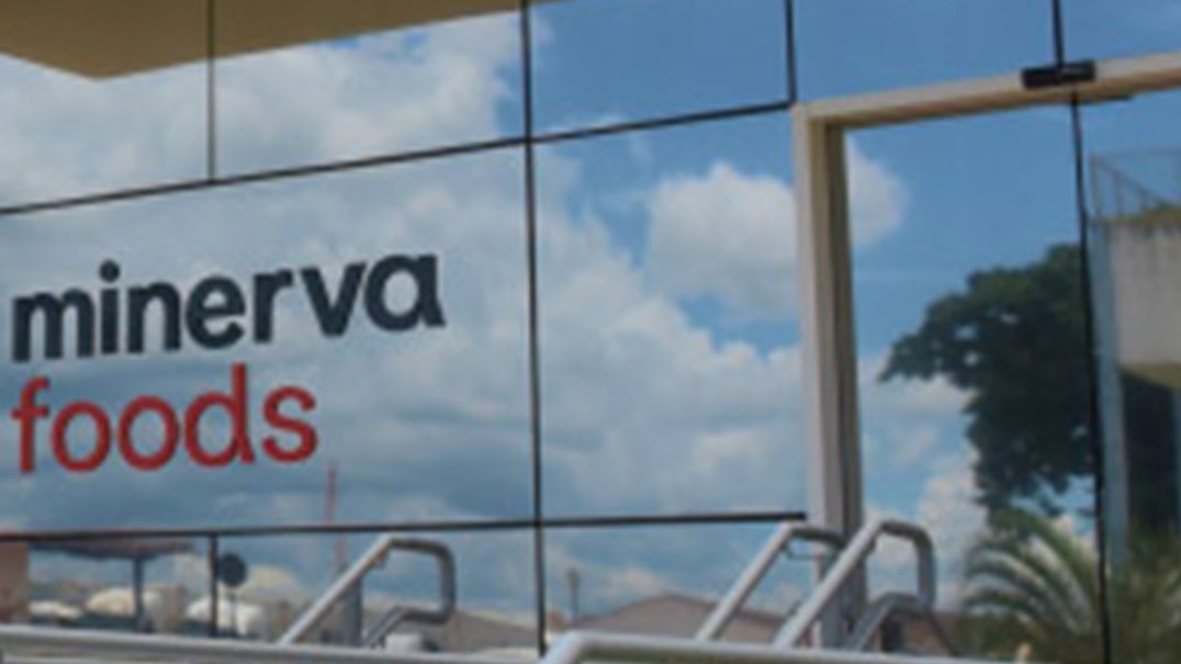 Minerva to increase capital - LatinFinance